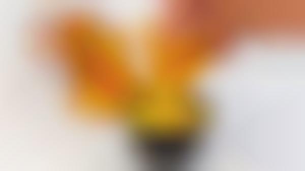 Chip-Inspired Chicken Snacks : chicken chip