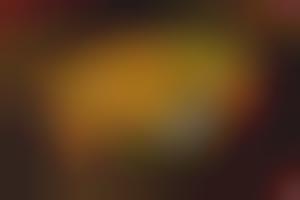 Edible Gold Dumplings : asian dumpling