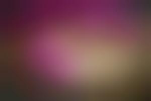 Beet-Infused Dog Biscuits : Bad Dog Bakery