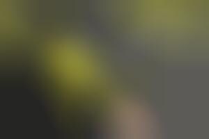 Paper Ammo Toy Guns : Spitball Blasterz