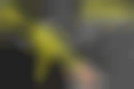 Paper Ammo Toy Guns : Spitball Blasterz