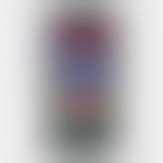 Refugee Aid Apps : RefAid Refugee Aid App