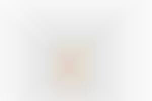 Animal-Shaped Tea Tags : tea time with animals