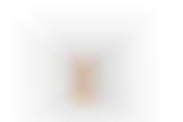 Animal-Shaped Tea Tags : tea time with animals