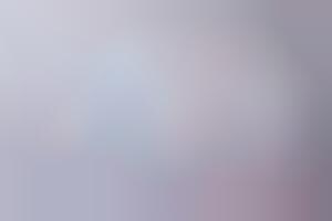 Mobile Cafe Concepts : Wheelys mini