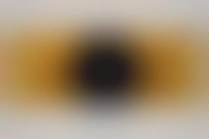 Affordable High End Cameras : Cycloptic Mustard Monster