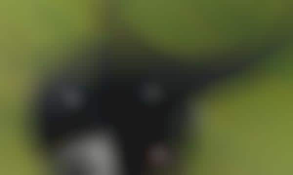 Underground Beer Coolers : biersafe underground beer cooler