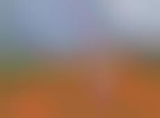 Outdoor Multi-Age Playgrounds : Indigo playground