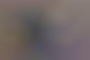 Photo-Perfecting Phone Accessories : drama filter