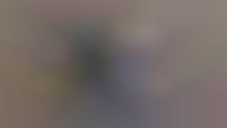 Photo-Perfecting Phone Accessories : drama filter