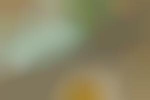 Modular Hydroponic Kits : Planty Square