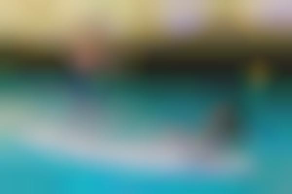 Streamlined Gliding Paddleboards : Finpo Waterglider