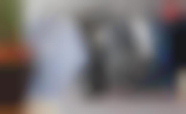 Modular Camera Concepts : Leica U