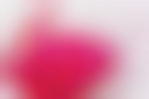 Collaborative Brow Kits : Furry Women