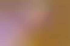 Fake News-Testing Games : Factitious