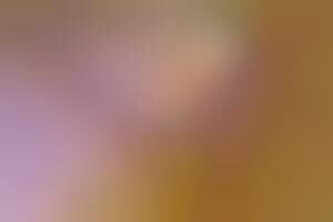 Fake News-Testing Games : Factitious