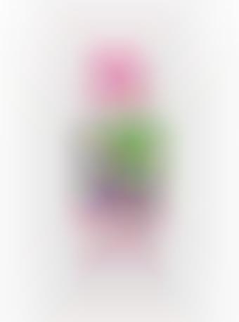 Limited Edition Flexible Soaps : Shapeable Soap