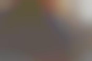 Indoor Inflatable Forts : air fort