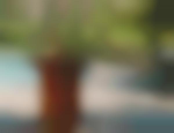 Elevated Outdoor Circular Grills : outdoor grill