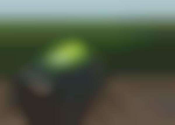 Crop-Monitoring Robots : AGRowBot