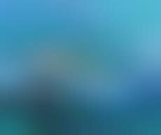 Inflatable Clear-Bottom Rafts : inflatable rafts