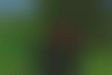 Modular Bag Systems : bloqbag