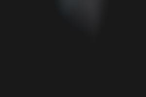 Prosthetic Swimming Fins : Nimble Prosthetic Fin