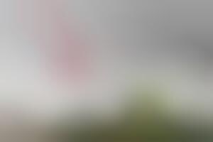 Hotel-Inspired Lighting Series : hobo lighting