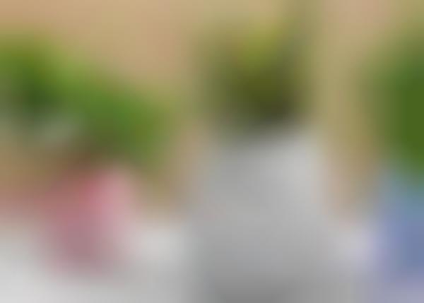 Touch-Encouraging Plant Pots : interactive flower pot