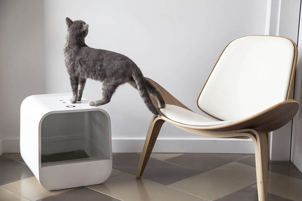 Stylish Litter Box Designs : modern litter box