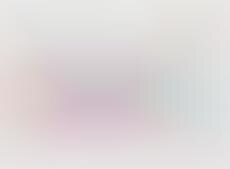 Chromatic Flower Vases : mellow vases