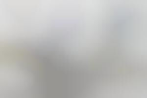 Comprehensive Lifetime Calendars : life calendar