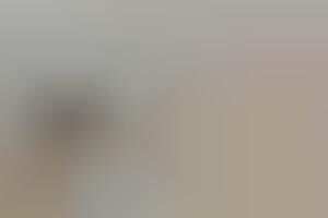 Lopsided Kneeling Tables : unbalanced table