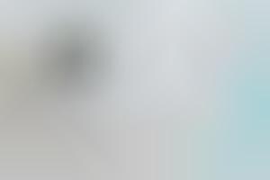 Stark Windowless Facades : Windowless Facade