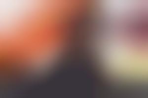 Comfort-Focused Racing Bikes : rugged bike