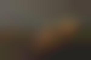 Insect-Based Burgers : Essento Insect Burgers