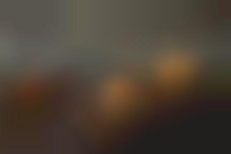 Insect-Based Burgers : Essento Insect Burgers