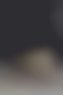 Shabby Chic Home Collections : Emily & Meritt Collection