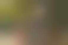 Augmented Reality Gravesites : virtual graves