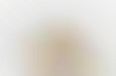 Novelty Introvert-Inspired Scents : soap for introverts