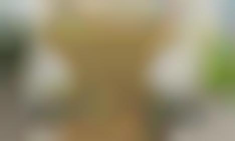 Lego-Like Gardens : Growmore