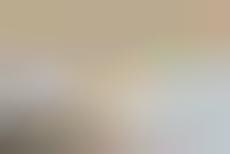 Mycelium-Supported Structures : mycotree