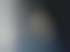 Ceramic Sea Creatures: Hand-Sculpted Porcelain Jellyfish from Coe and Waito