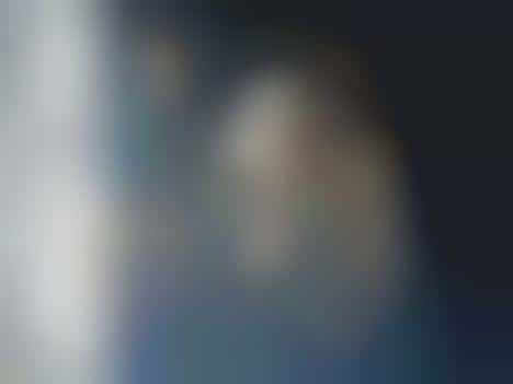 Ceramic Sea Creatures: Hand-Sculpted Porcelain Jellyfish from Coe and Waito