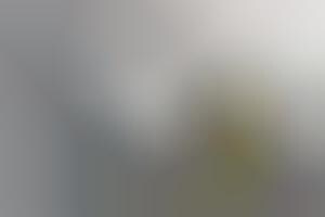 Zen-Like Dishes: 'Buddha' Porcelain Tableware by Estudio Manus