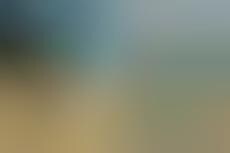 Fantasy Fashion Campaigns: Abandon Your Nightmares With Meltin'Pot