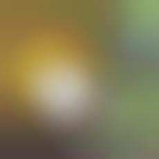 Nature-Inspired Lighting: Toadstools, Seaweed and Tornado Light ...