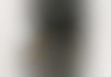 Limited-Edition Perfume Samples: Guerlain Releases Special Set for ...