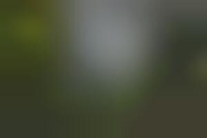 Climate-Responsive Structures : air houses