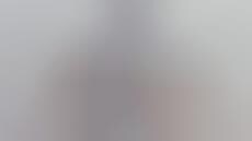 Bespoke Body Shields : body shield